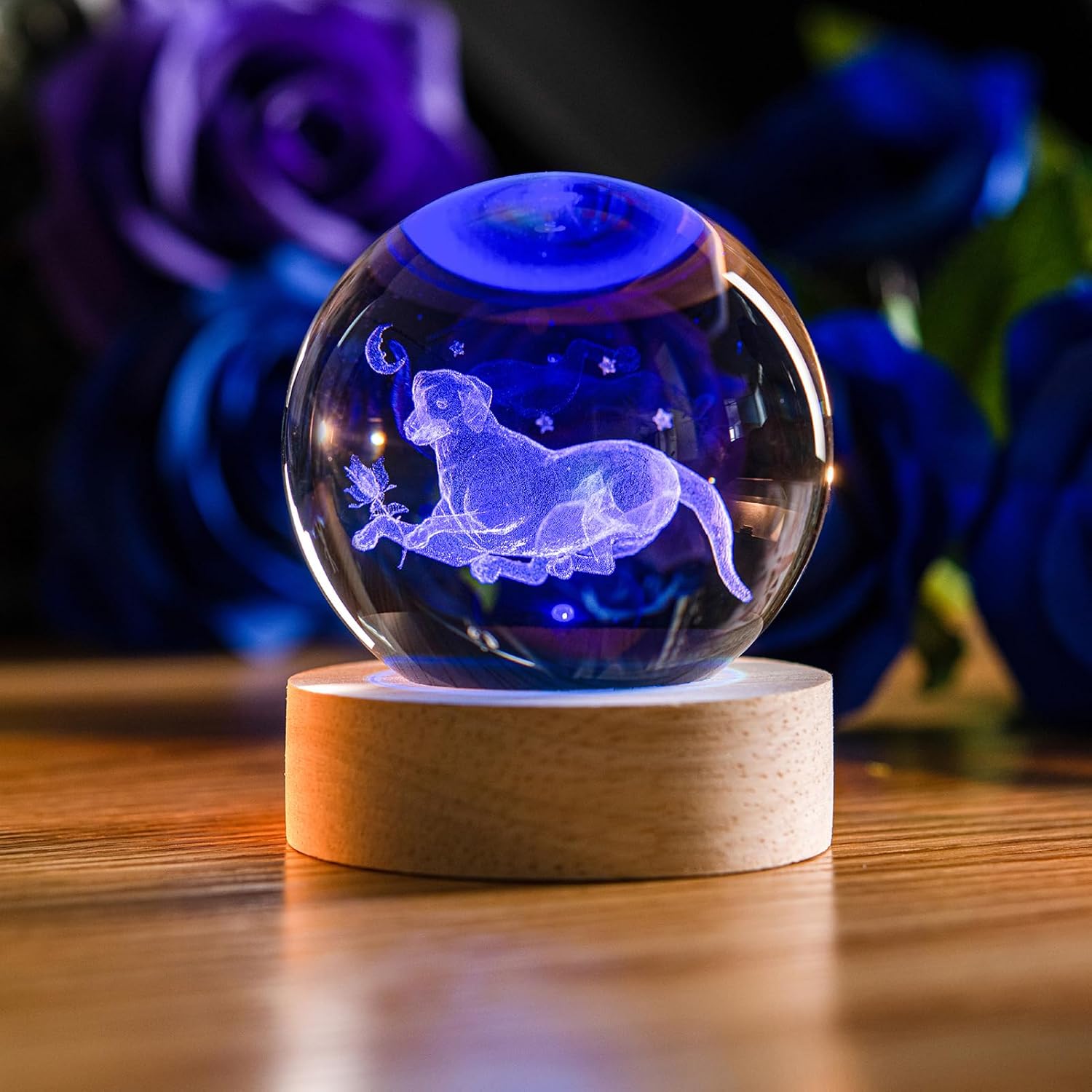 Amazon.com: YouerCrystal Dog Globe Gifts for Kids, 3D Dog Crystal Ball ...