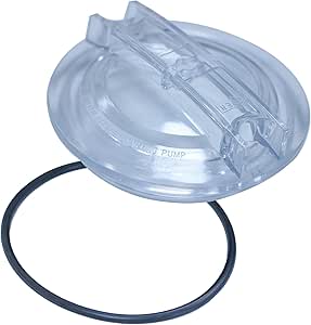 Amazon.com: YOUZAQUA Pool Pump Replacement Threaded Lid w/O-Ring Kit ...