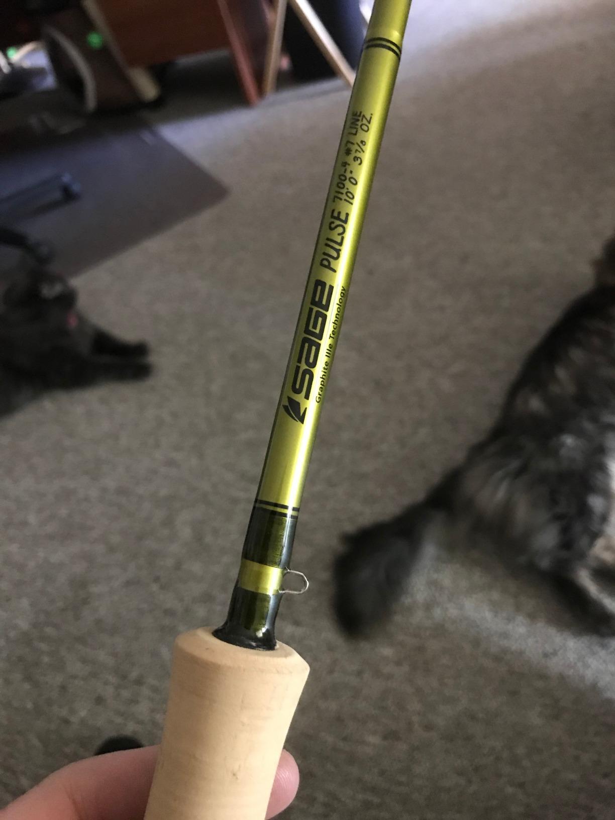 Amazon.com: Sage Fly Fishing Pulse Rod : Sports & Outdoors