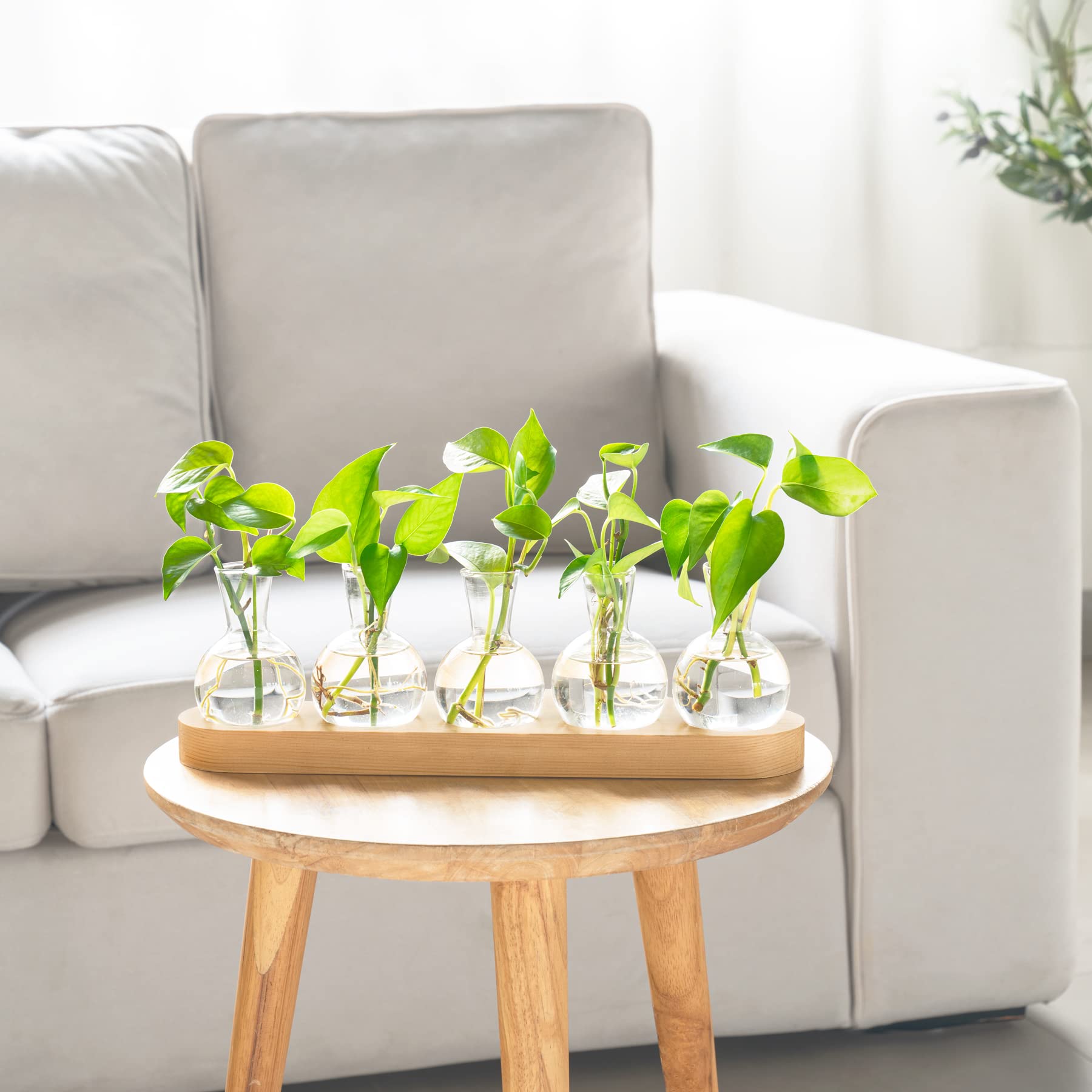 Snapklik.com : Mkono Desktop Plant Propagation Glass Vase Station Retro ...