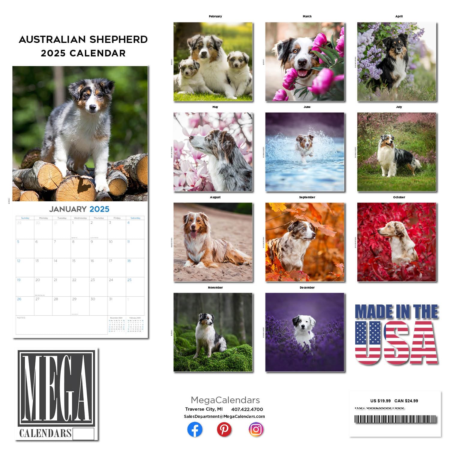 Snapklik.com : 2025 Australian Shepherd Calendar - Dog Breed Wall ...