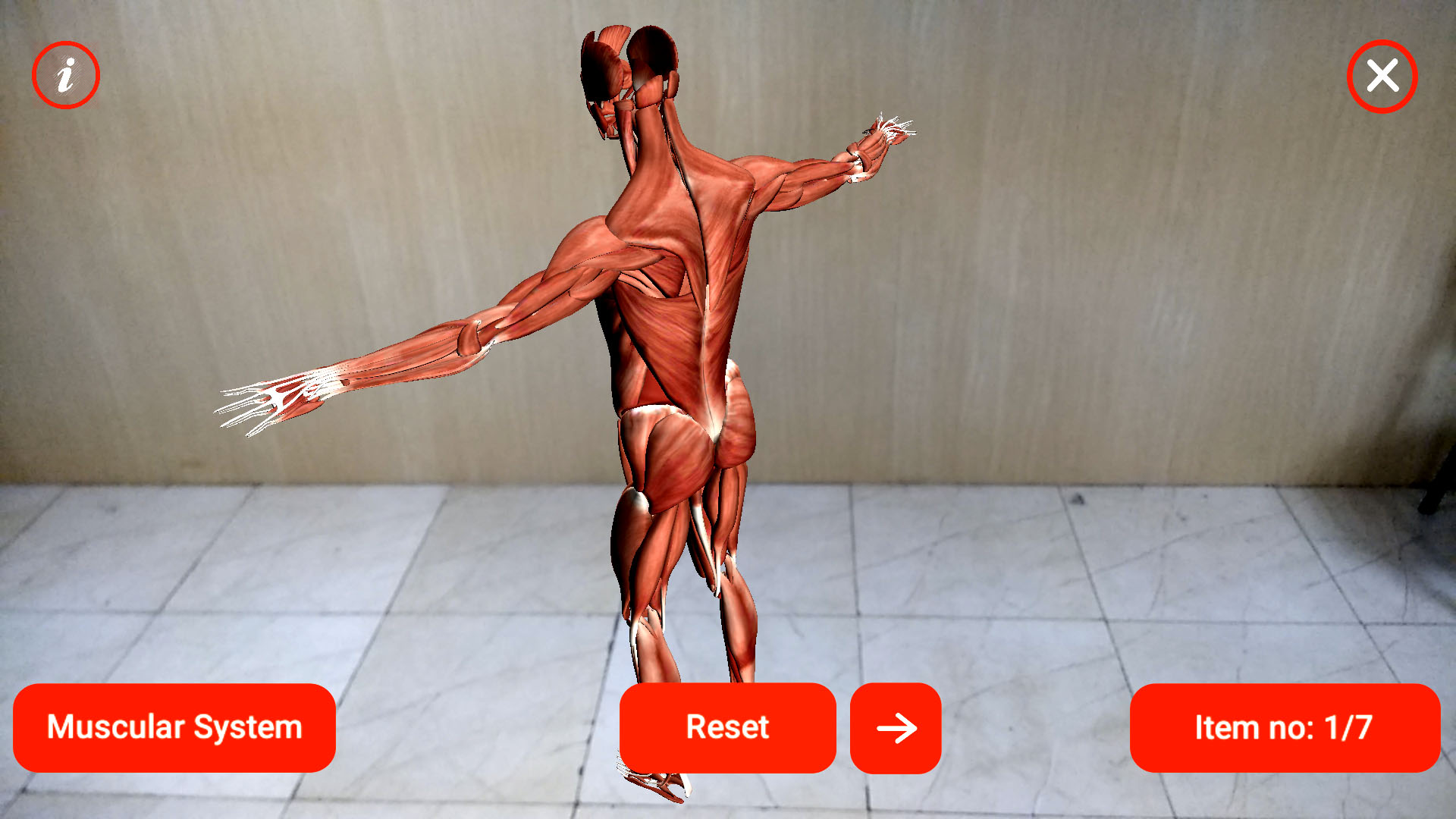 AR Human Organs - App on Amazon Appstore