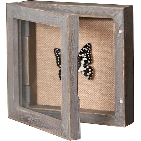 Lawrence Frames Shadow Box Frame, 5x5, Natural Gray