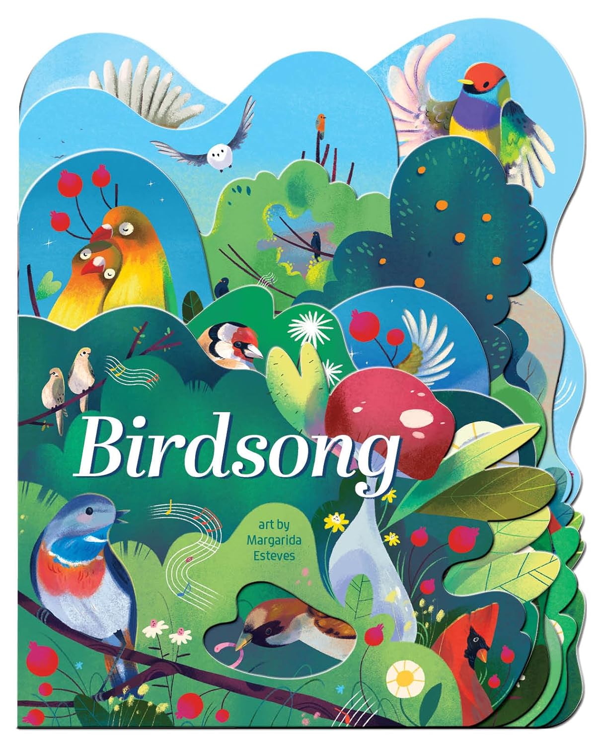 Birdsong (Layered View): Esteves, Margarida: 9781423667483: Amazon.com ...