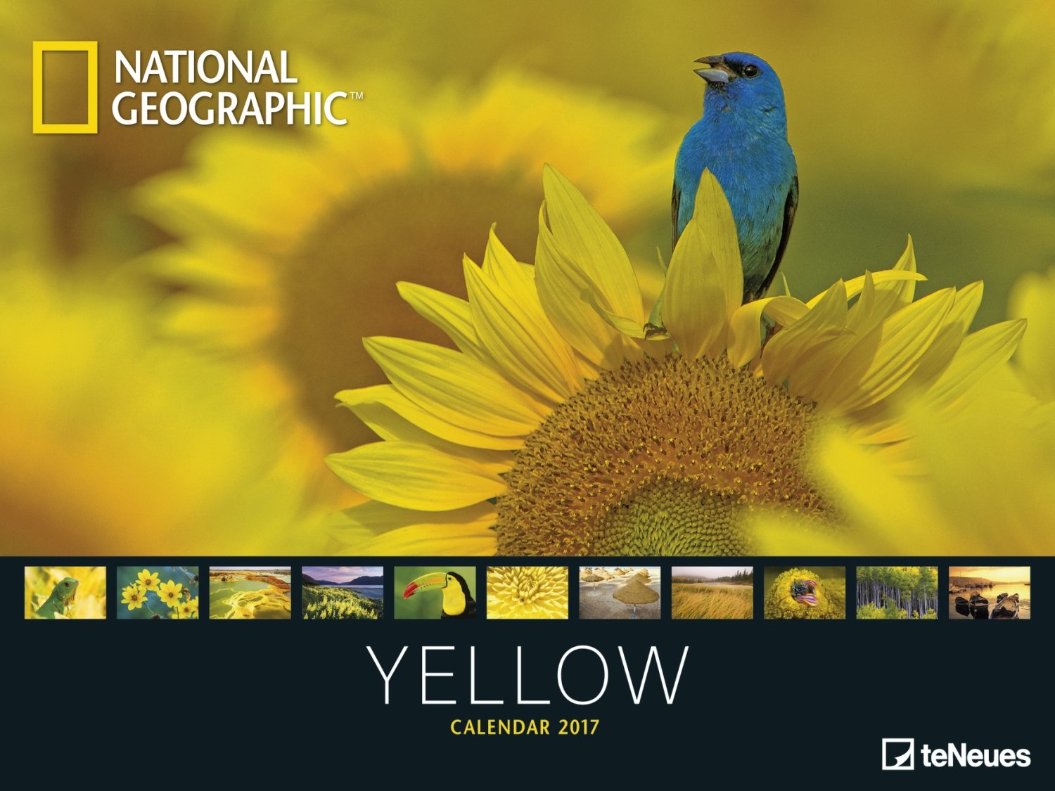 2017 Yellow Poster Calendar - National Geographic - 64 x 48cm: National ...