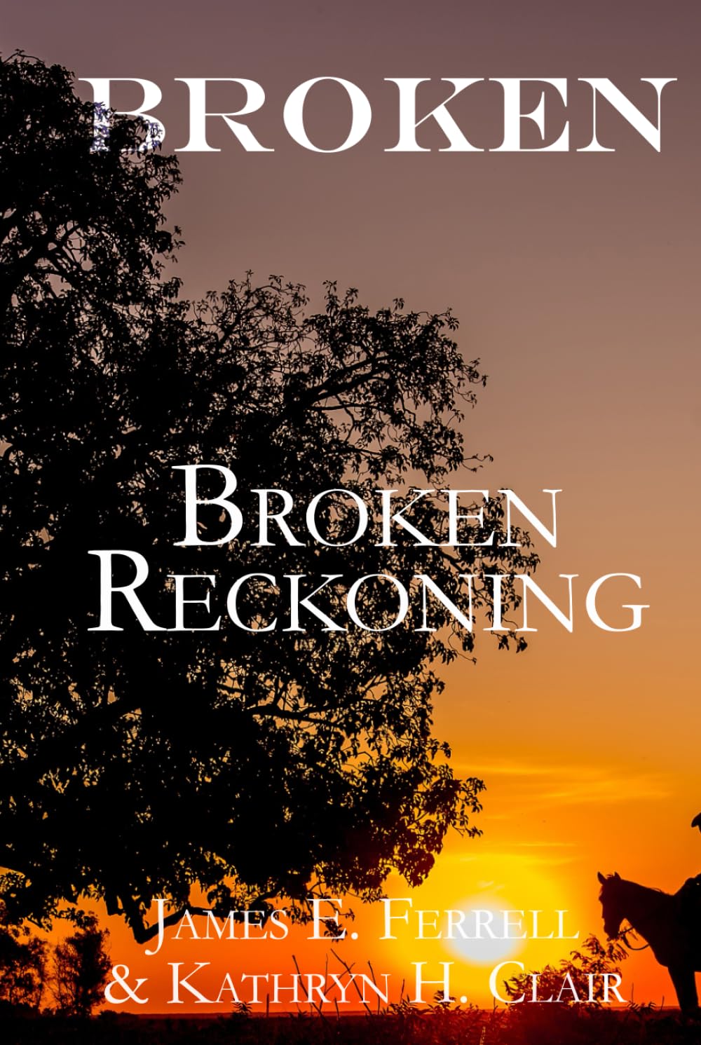 Amazon.com: Broken: Broken Reckoning: 9781950763313: Ferrell, James ...