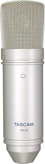 Amazon.com: Tascam TM-80 Large Diaphagm Condenser Microphone,Silver ...