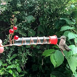 Amazon.com : 2 Pack Hummingbird Feeder Hat, Wearable Hummingbird Feeder ...
