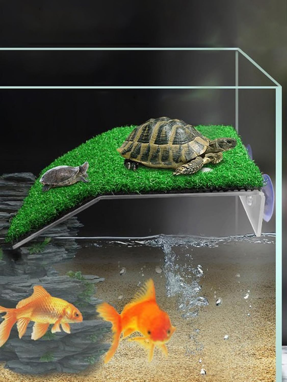 Amazon.com : QWINEE Turtle Basking Platform Simulated Plastic Lawn ...