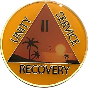 Amazon.com : 2 Year AA, Alcoholics Anonymous- The Sunset Beach ...