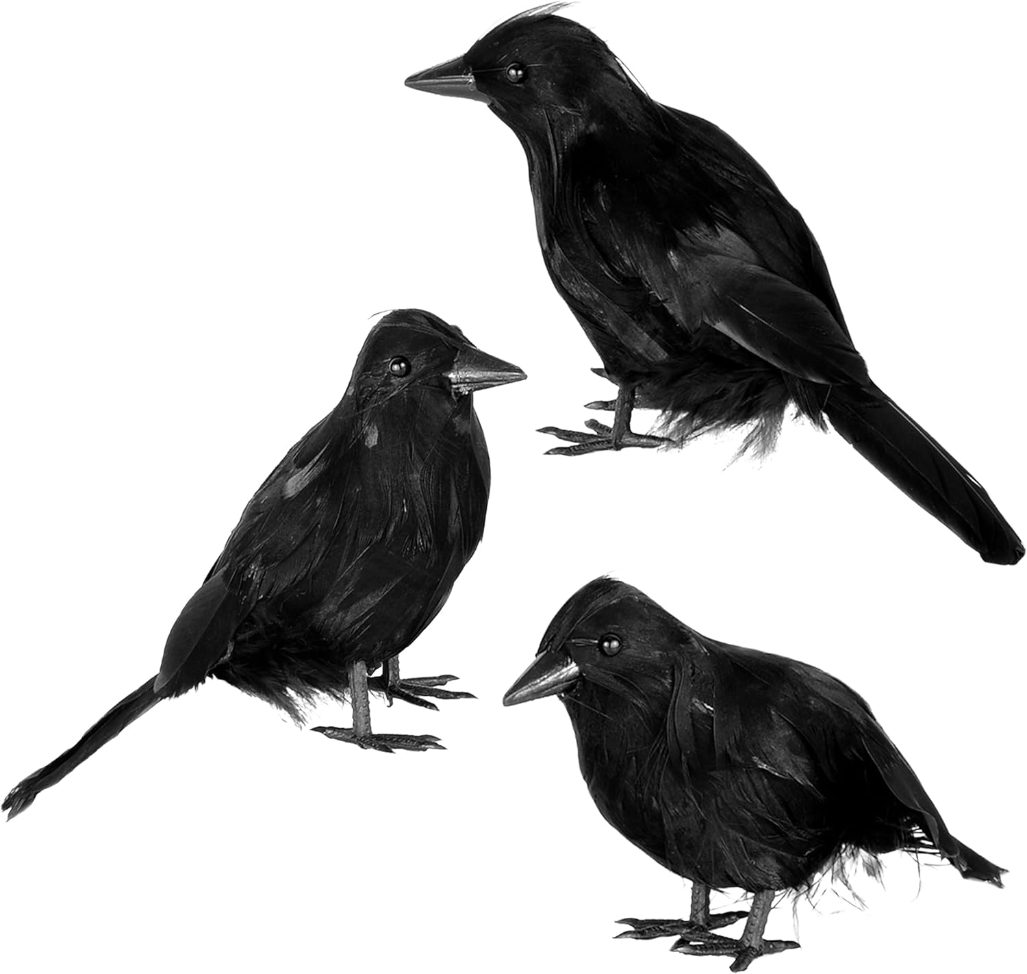 Amazon.com: JOYIN Halloween Crow Raven 3Pcs Feather Bird, Black Prop ...