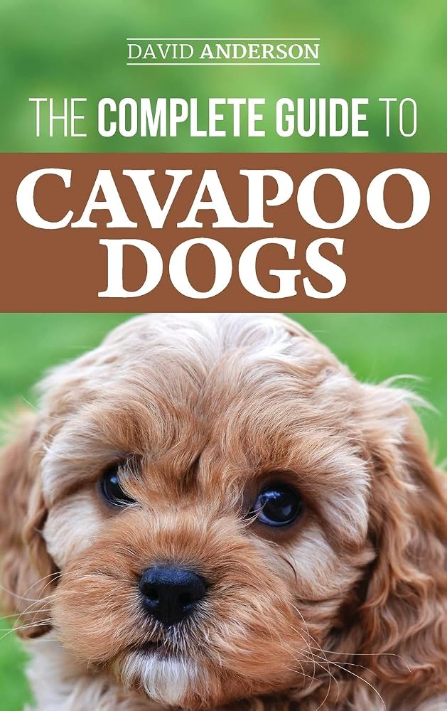 The Complete Guide to Cavapoo Dogs: Everything you Botswana | Ubuy