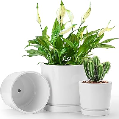 Amazon.com : Greenaholics Succulent Small White Planter Pot 4.3 Inch ...