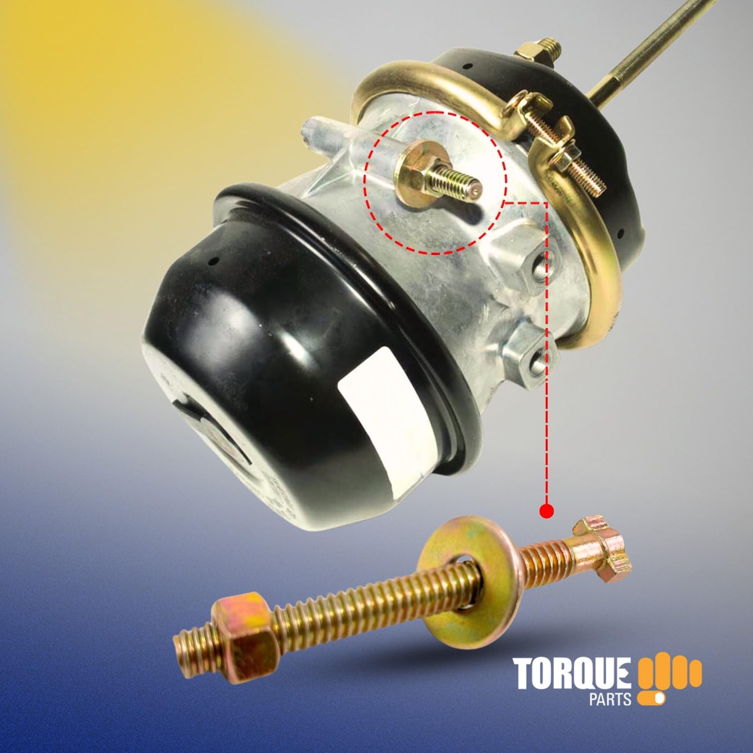 Snapklik.com : TORQUE 5 Pack Of Brake Cage Bolt Assembly, Cage Bolt ...