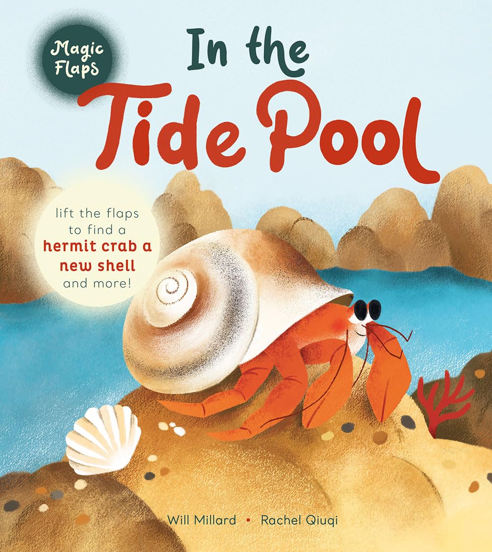 In the Tide Pool: A Magic Flaps Book: Millard, Will, Quiqi, Rachel ...