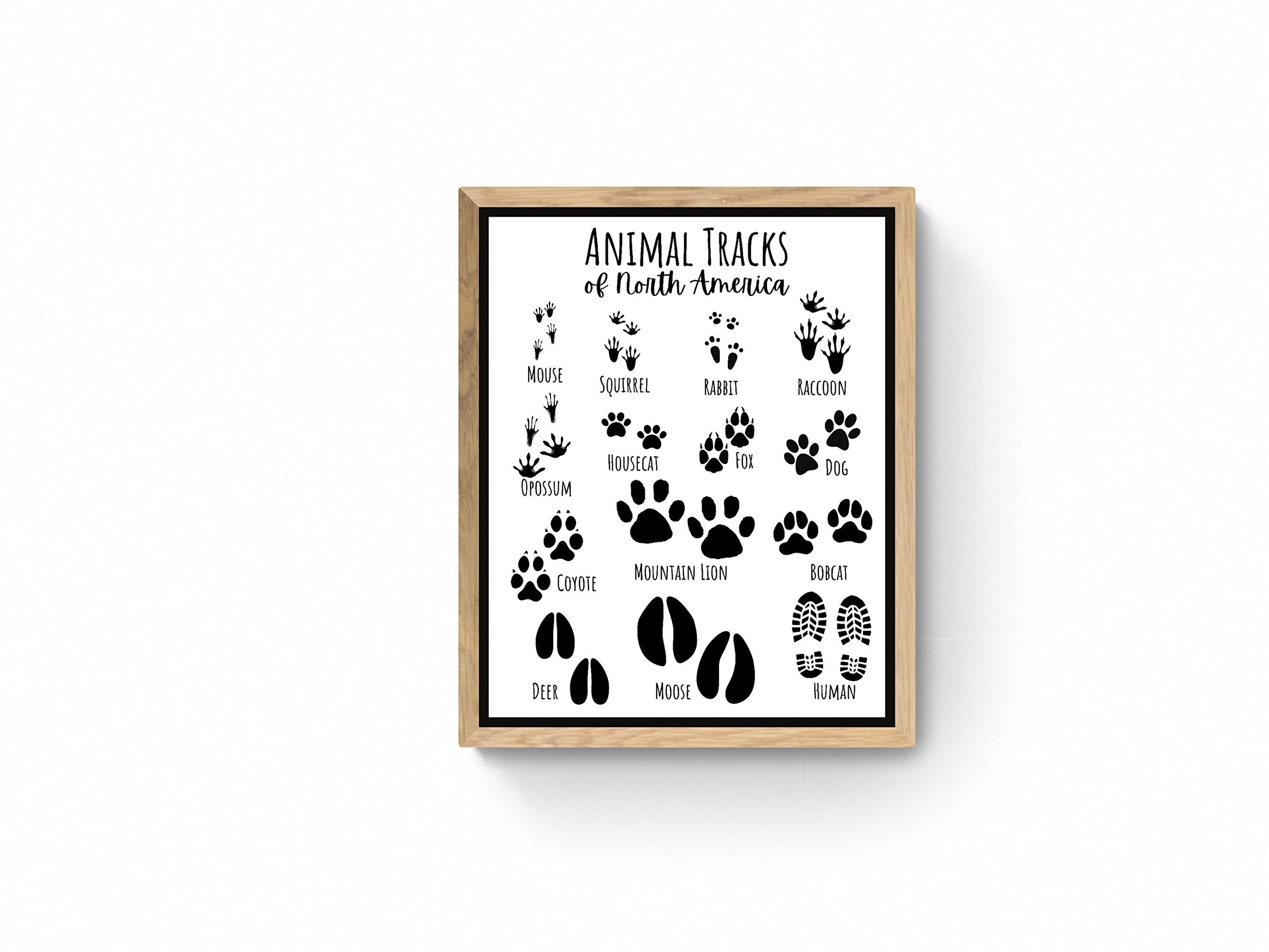 Amazon.com: Retro Metal Tin Sign 8 X 12 Inches Animal Tracks of North ...