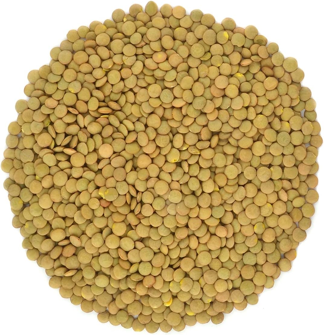 Amazon.com : Organic Green Lentils Whole Raw, High Fiber Non-GMO-Bulk ...