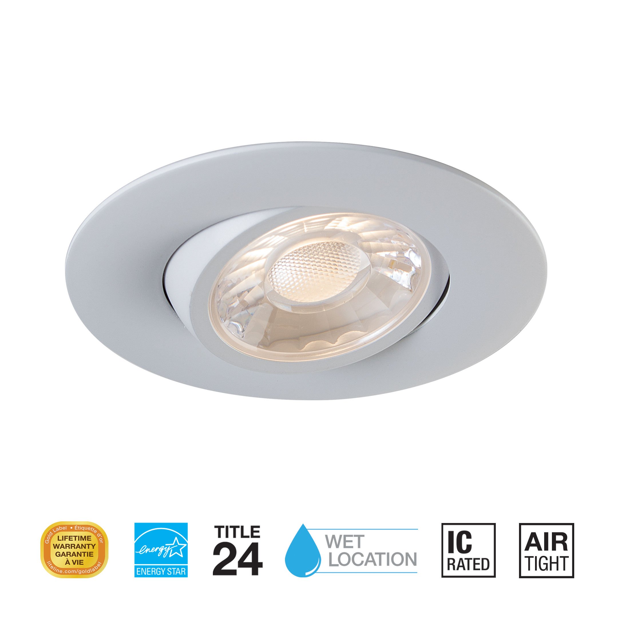 Buy 3 Inch Luna LED by Liteline – Flexible Gimbal Fixture Lightning LED ...