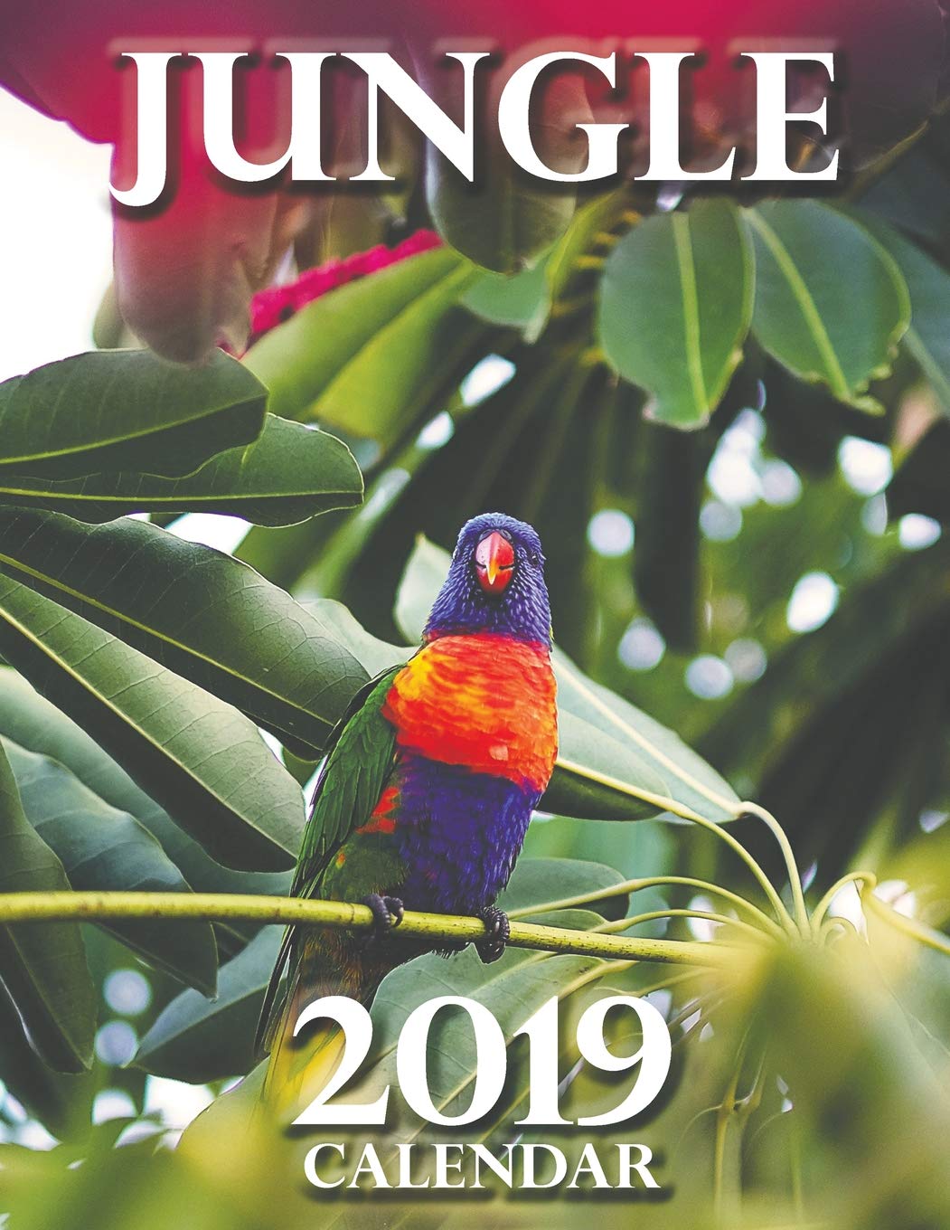 Jungle 2019 Calendar: Wall Craft Calendars: 9781642520842: Amazon.com ...