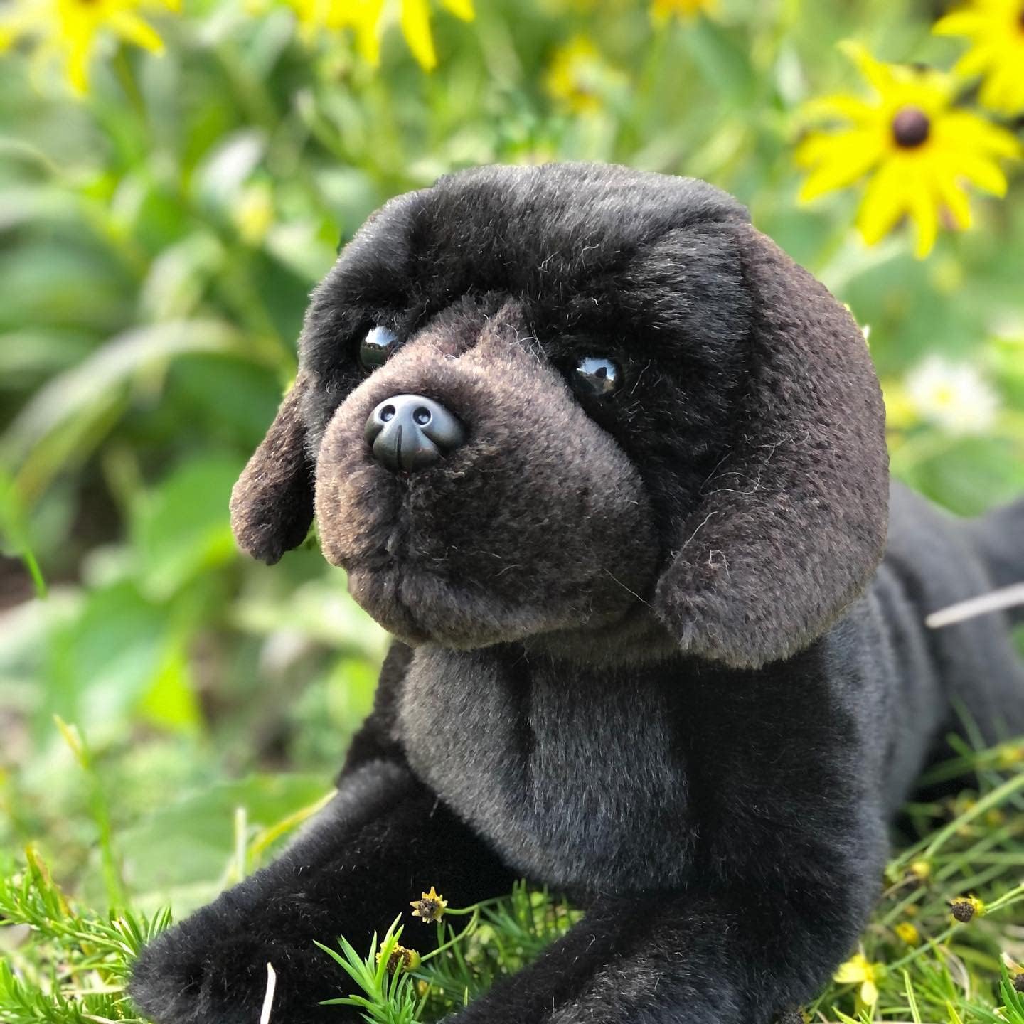 Amazon.com: Auswella 12" Labrador Retriever Plush Dog- Stuffed Animal ...