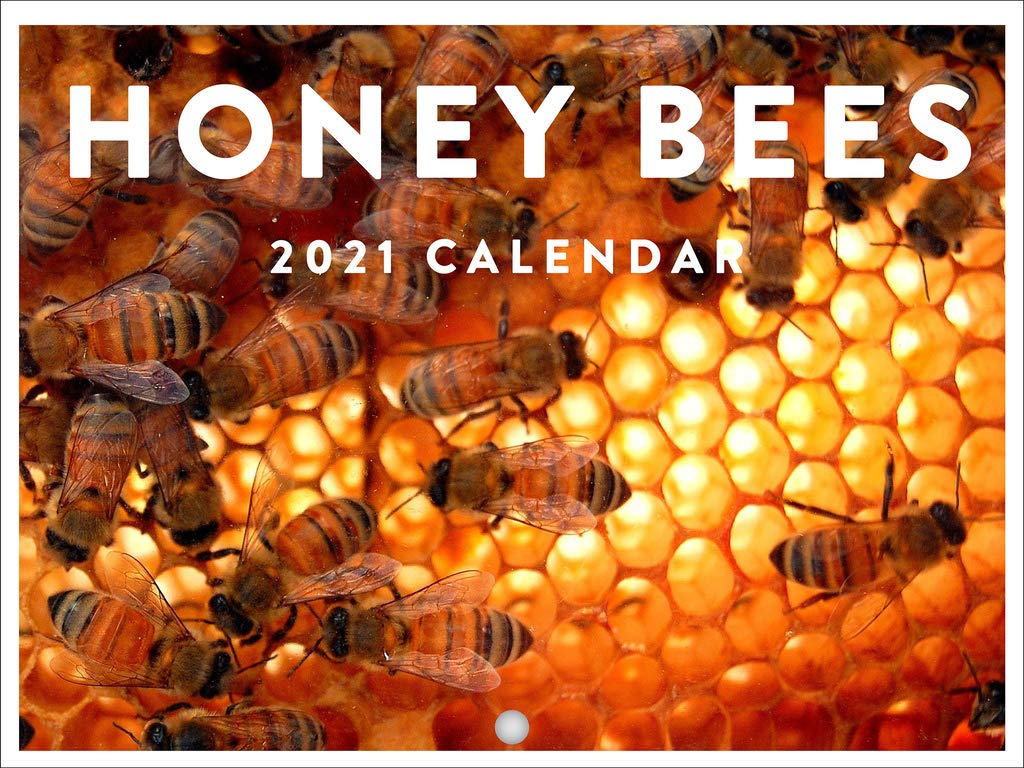 Buy Honey Bee 2023 Monthly Wall Hanging s Honeybee Flower Beekeeping ...