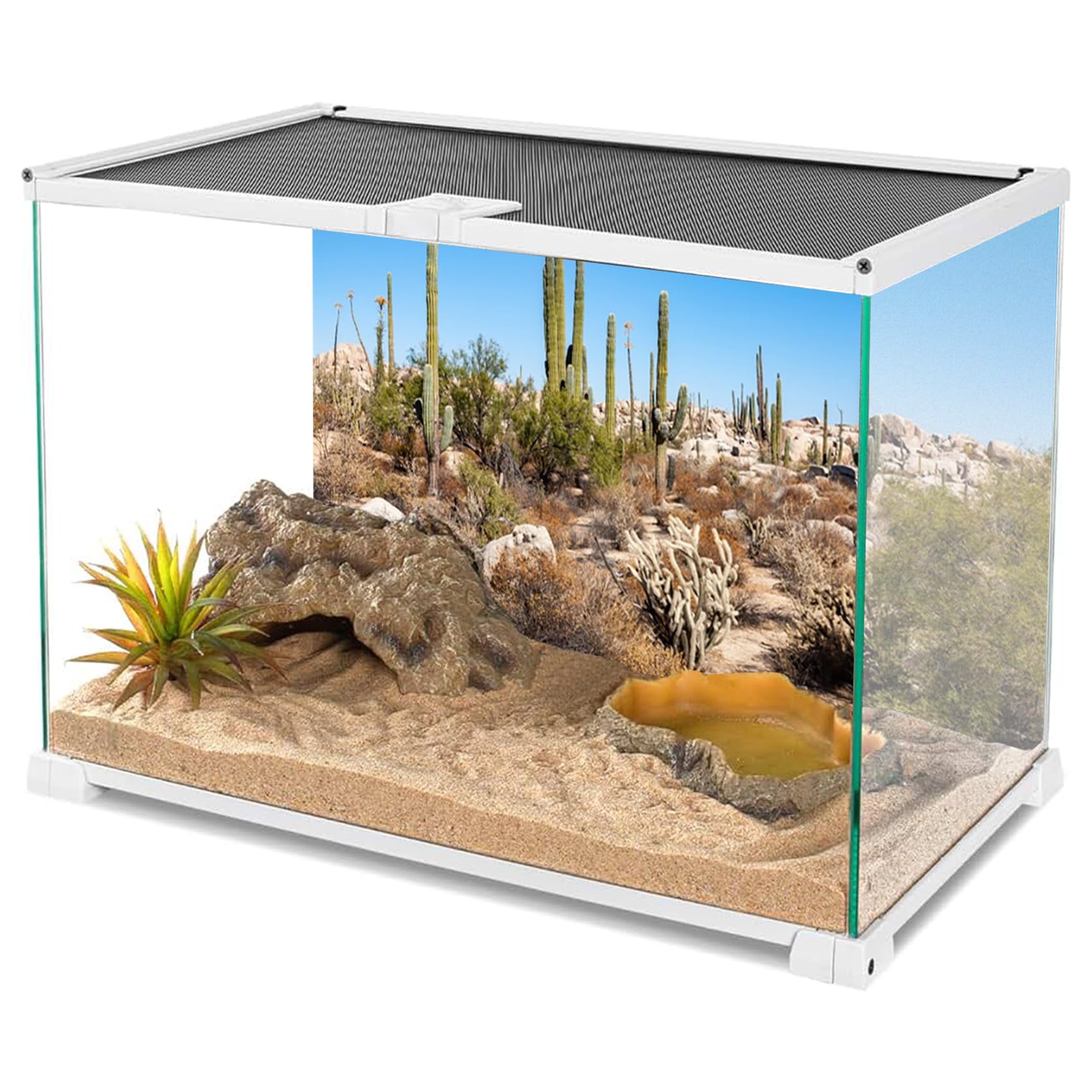 Snapklik.com : Reptile Terrarium Background 36x24 Inch Western ...