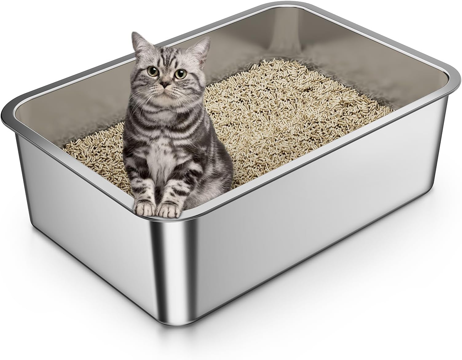 Amazon.com: Anycoo Stainless Steel Litter Box for Cat or Rabbit, Cat ...