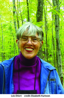 Eating the Alphabet: Ehlert, Lois, Ehlert, Lois: 9780152010362: Amazon ...