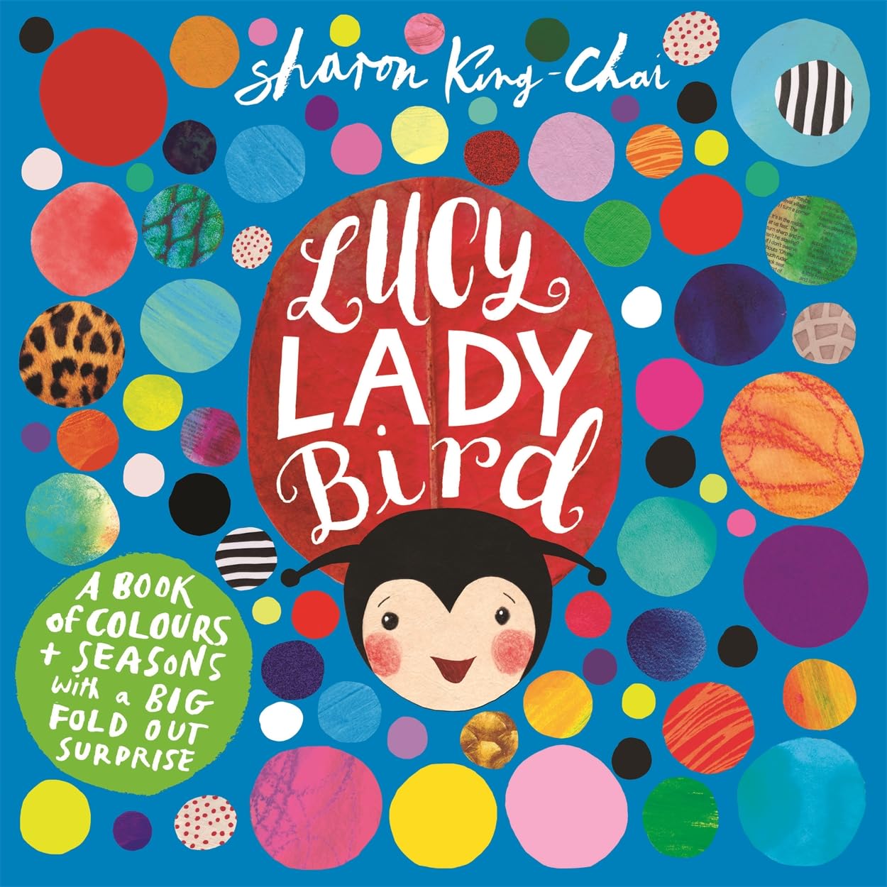 Lucy Ladybird: Amazon.co.uk: King-Chai, Sharon, King-Chai, Sharon ...