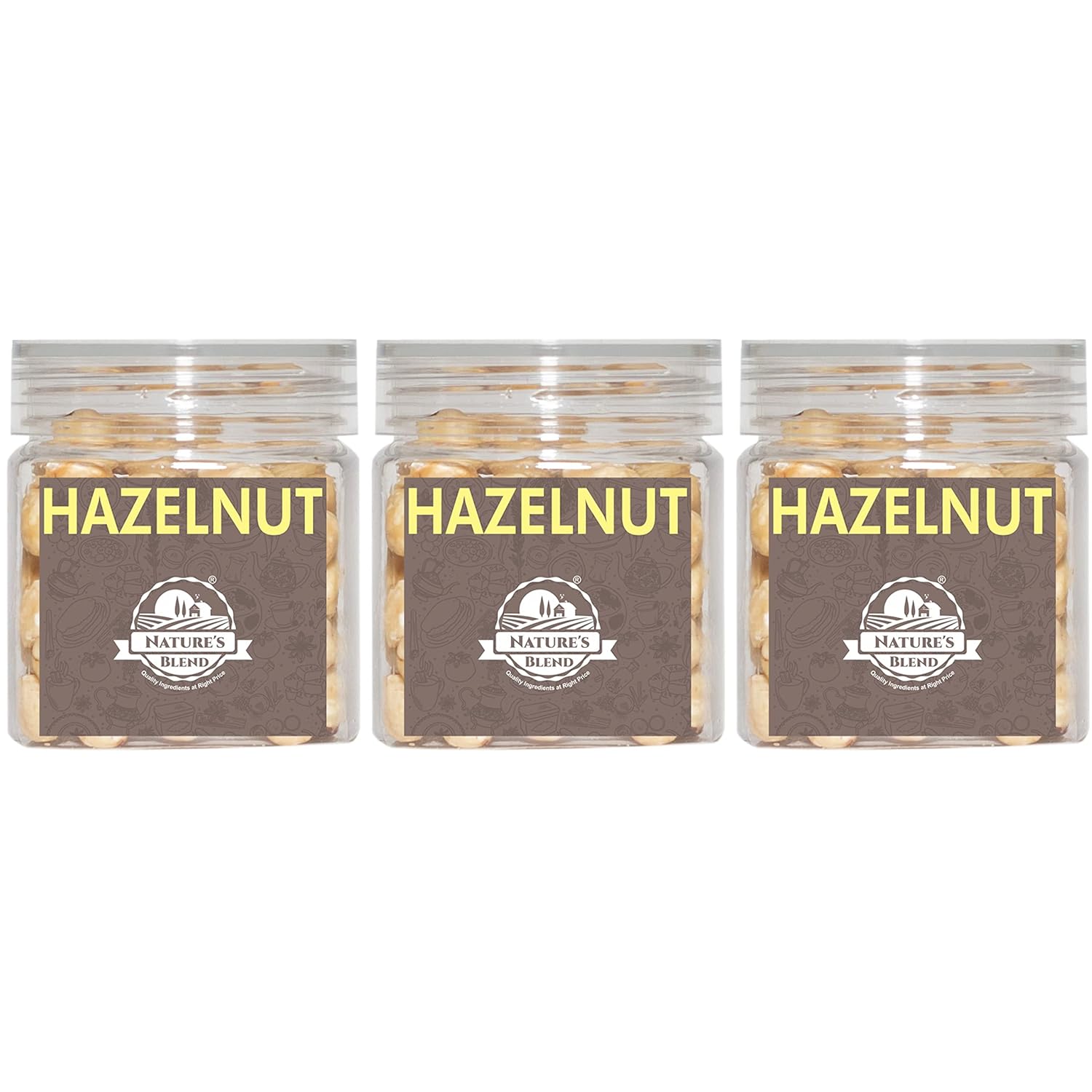 Nature's Blend Hazelnut Selected 100g Jar (Pack Of 3) : Amazon.in ...