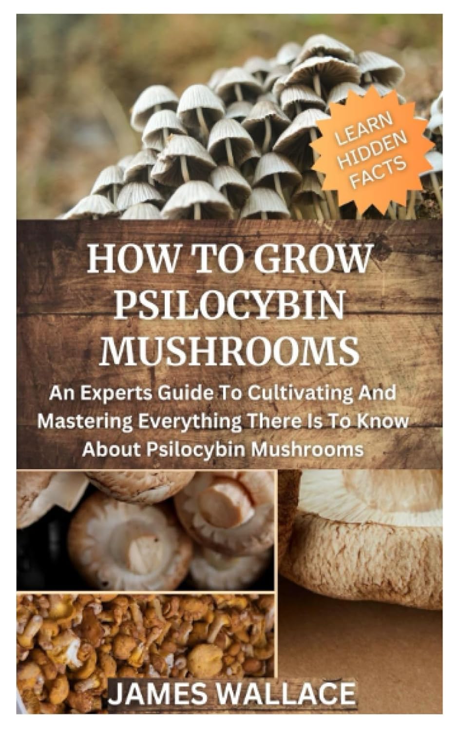 HOW TO GROW PSILOCYBIN MUSHROOMS: An expert’s guide to cultivating and ...