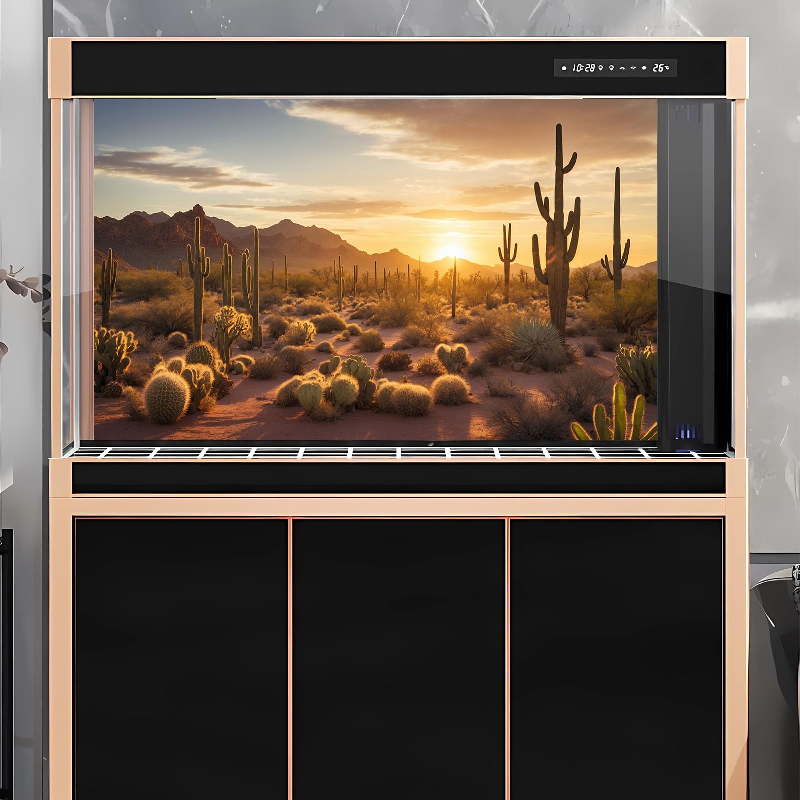 Desert Terrarium Background - 24x16" Vinyl Scenic Backdrop (Saguaro ...