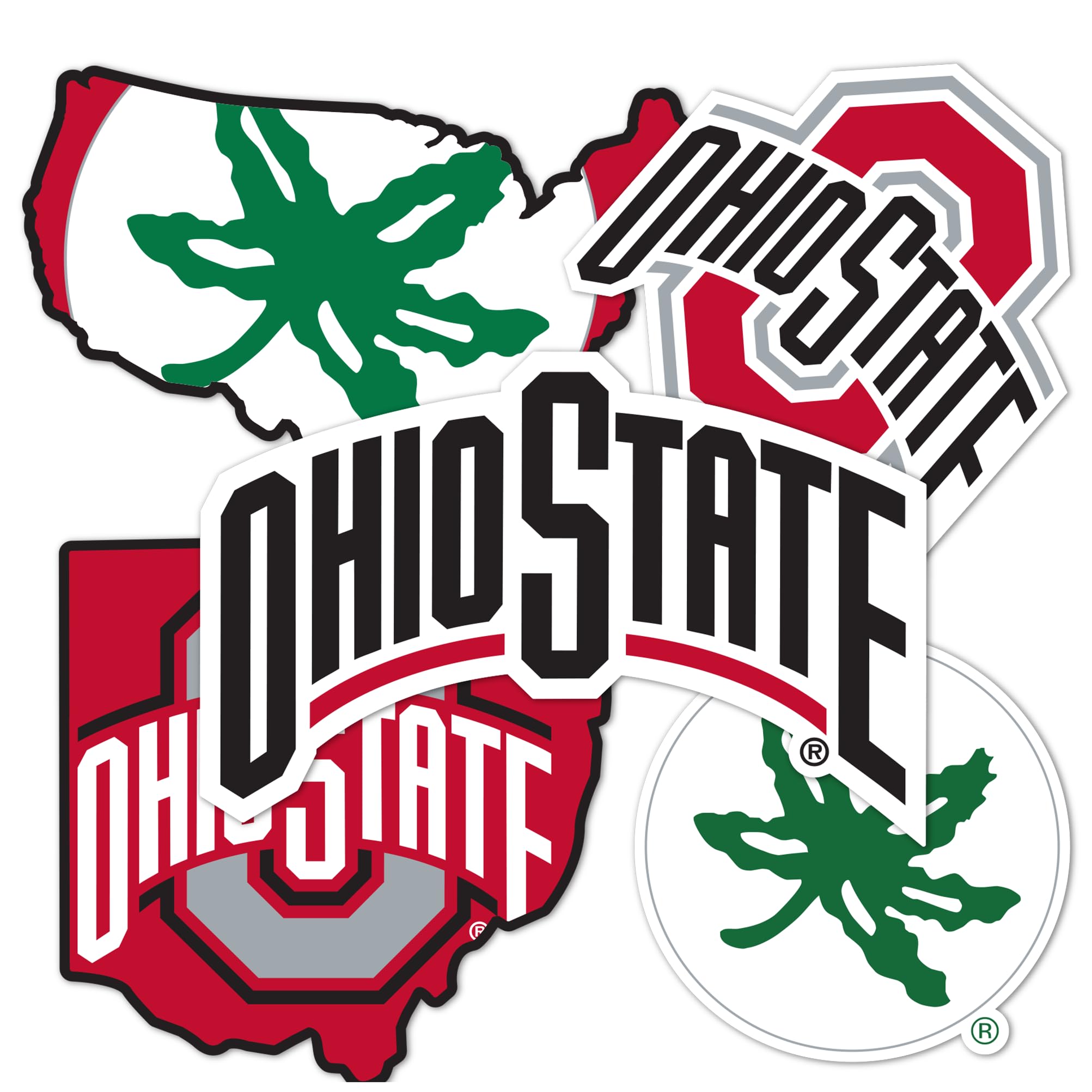 Amazon.com: Desert Cactus The Ohio State University OSU Buckeyes ...