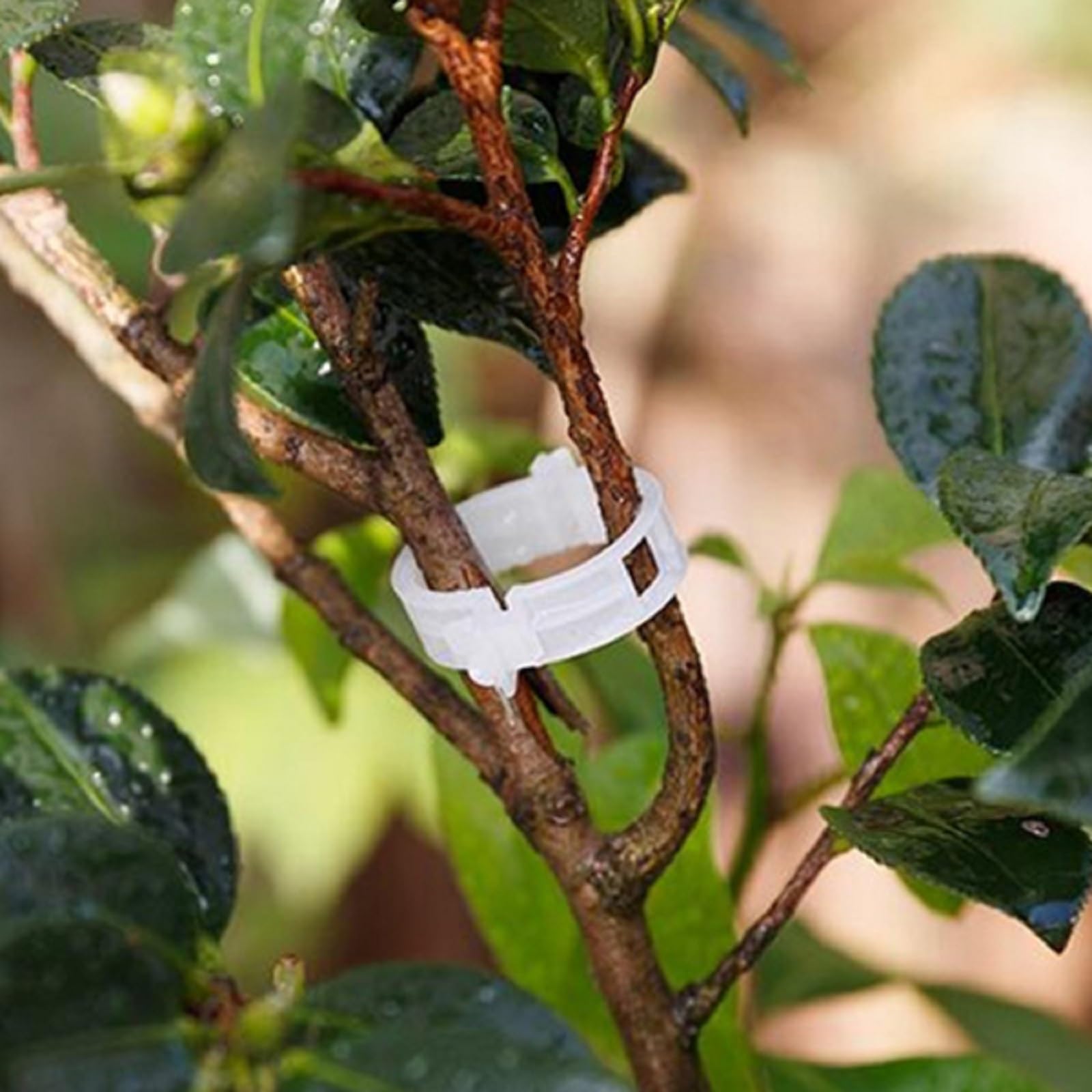 Amazon.com : KAMILLEE Plant Support Clips, 100pcs Plastic Garden Plant ...