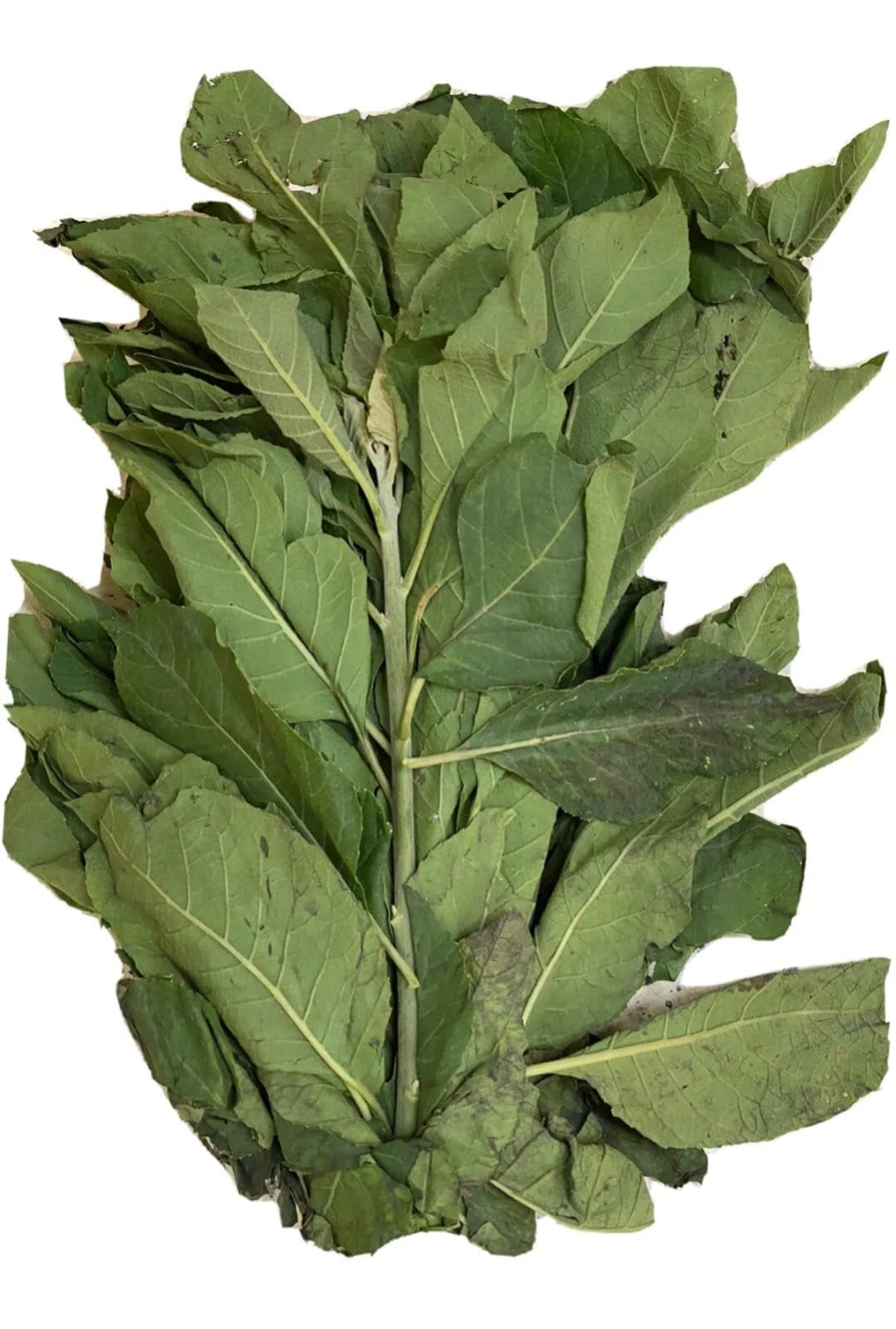 Types Of Bitter Greens Bitter Greens Recipes: 15 Greens And Vegan