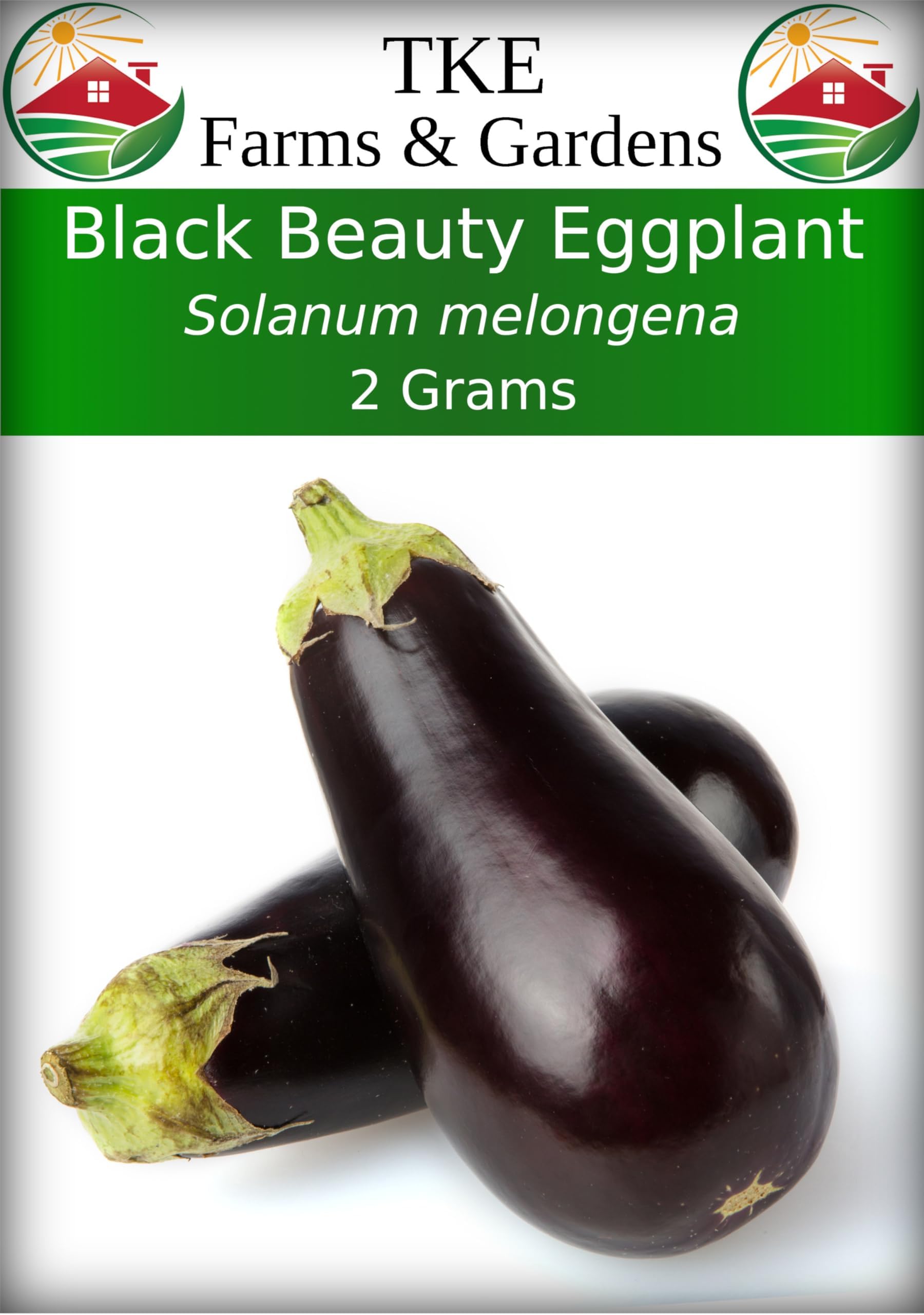 Amazon.com : Eggplant Seeds - Purple Shine - Hybrid - 500 Mg Packet ...