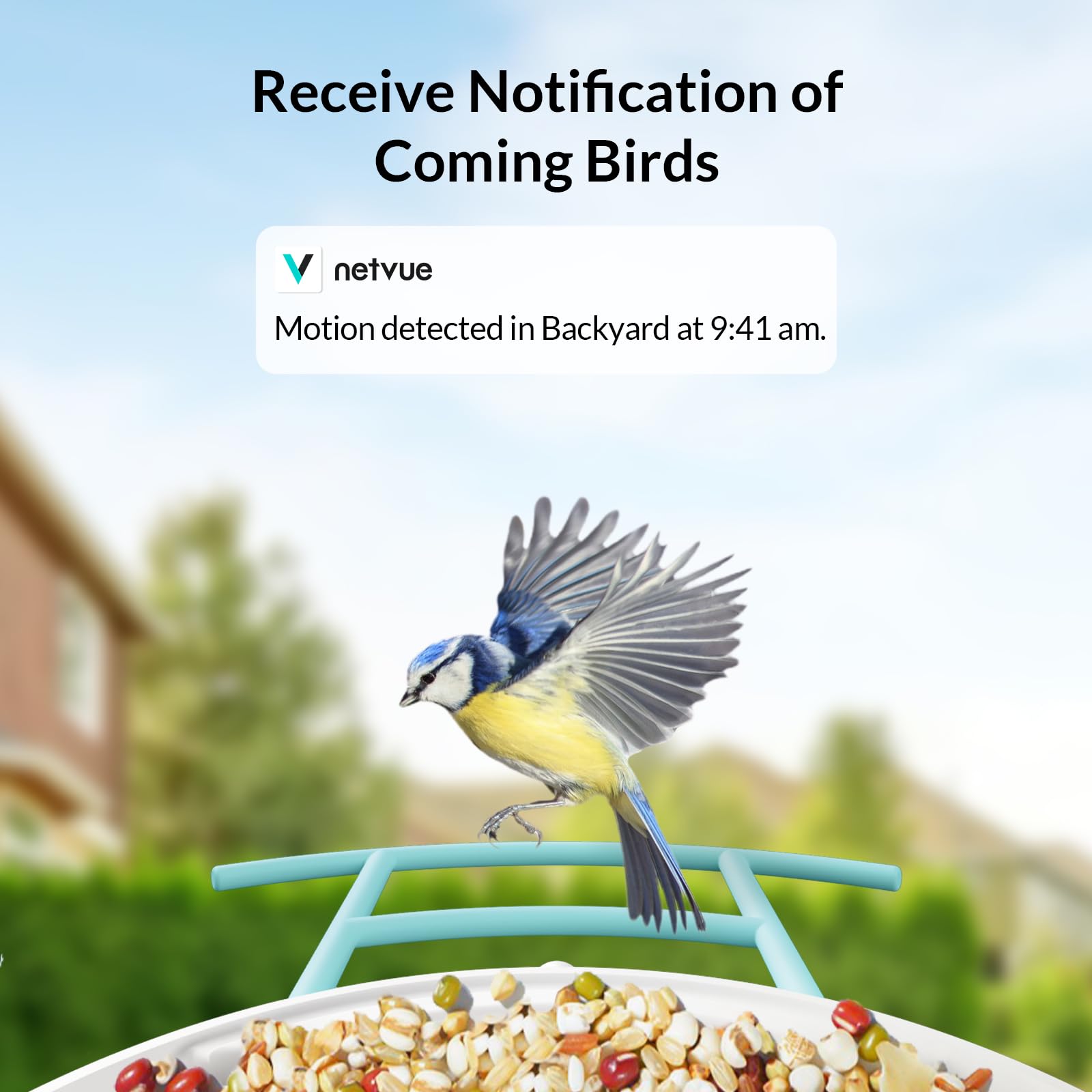 NETVUE Birdfy Lite- Smart Bird Feeder Camera with Solar Panel, Bird Watching Camera Auto Capture ...