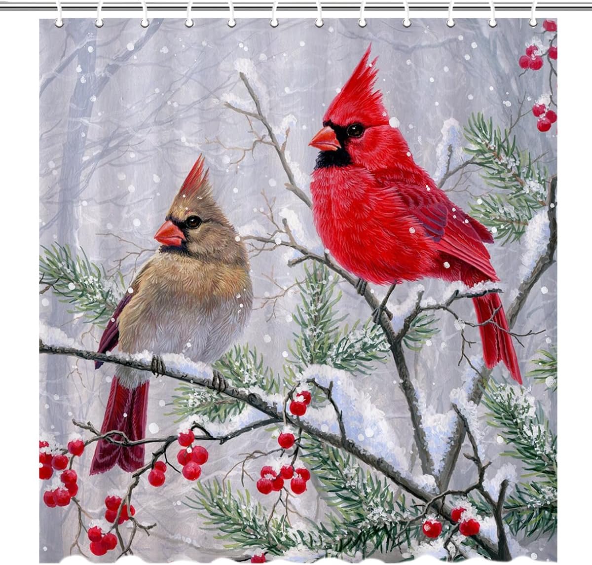 Amazon.com: AUIKVH Winter Robin Red Cardinal Bird Shower Curtains for ...