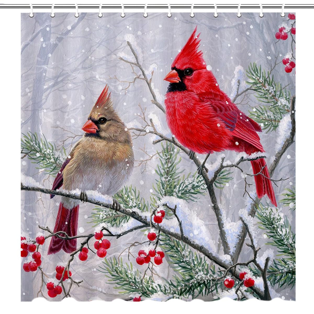 Amazon.com: AUIKVH Winter Robin Red Cardinal Bird Shower Curtains for ...