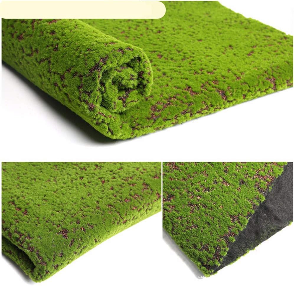Amazon.com: SCITOY Moss Wall Panels Decorative Mini Landscape ...