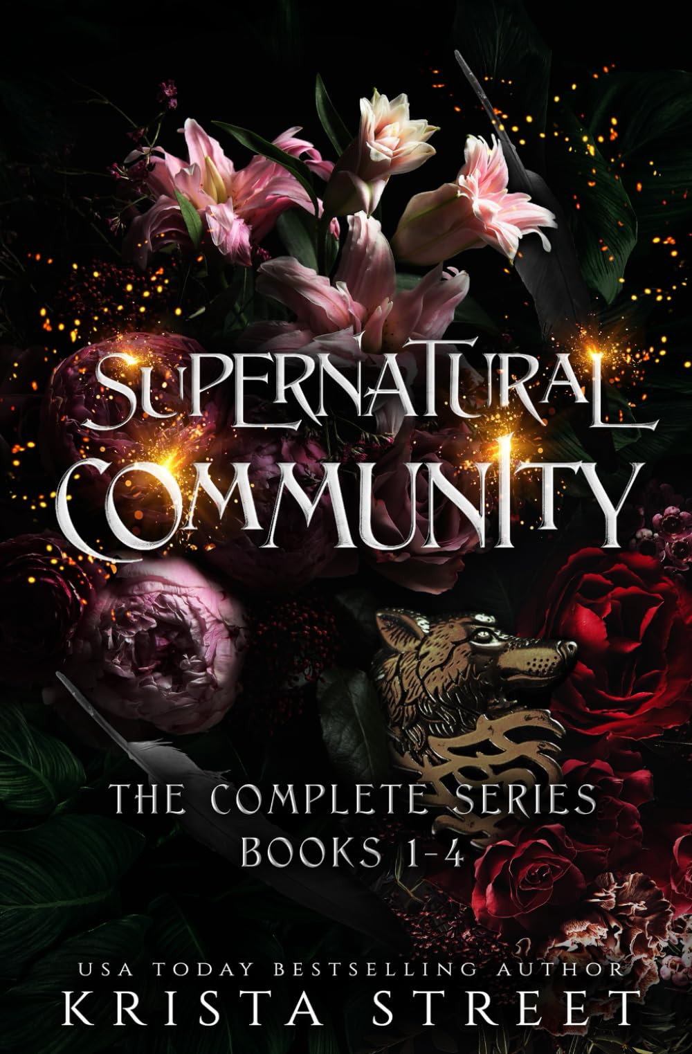 Amazon.com: Supernatural Community: The Complete Series: Books 1-4: 9798484417414: Street ...