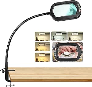 Amazon.com: 4X Gooseneck Magnifying Glass with Light and Clamp, LED ...
