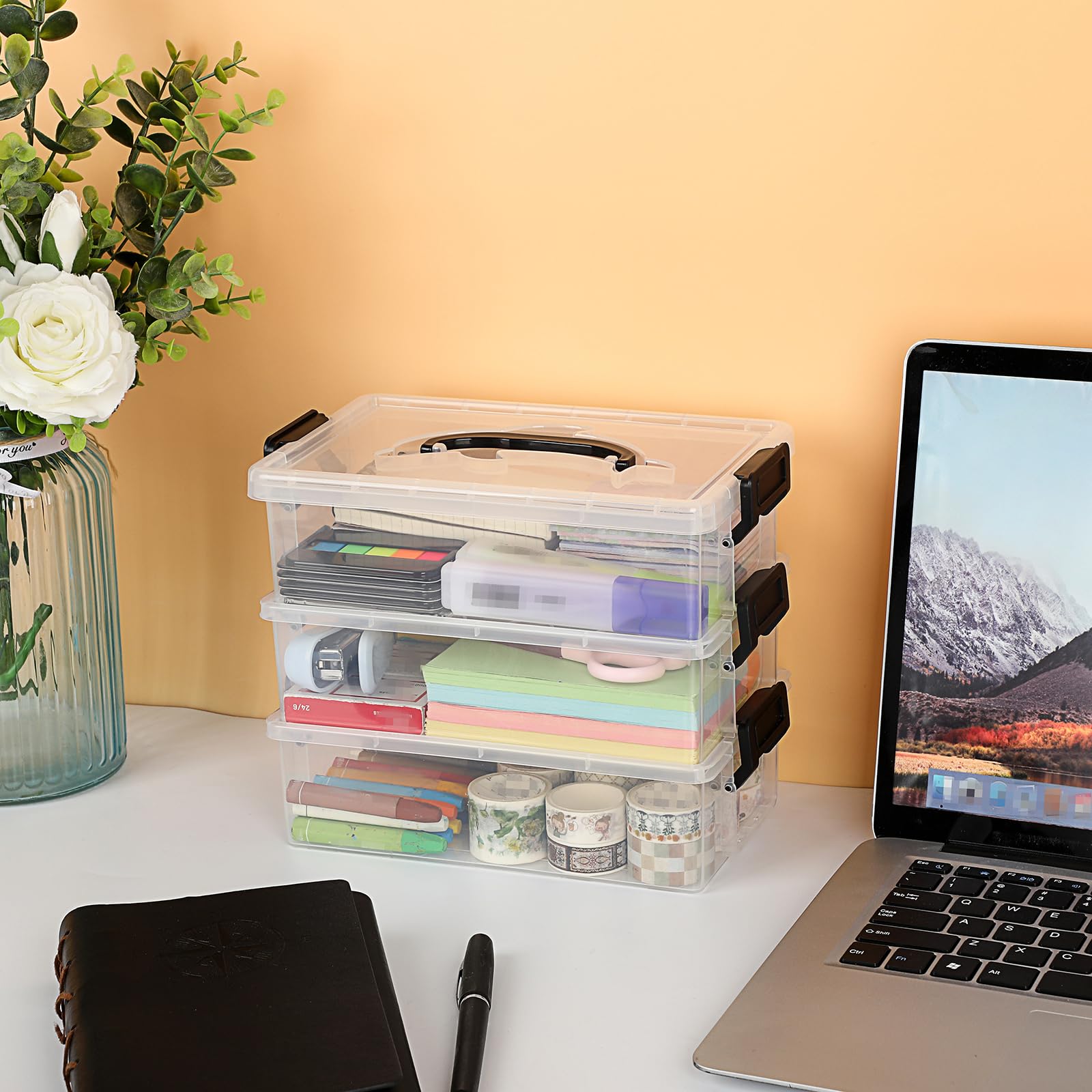 Snapklik.com : BTSKY 3 Layers Cute Dolphin Clear Plastic Pencil Box - Multipurpose Pencil Case ...