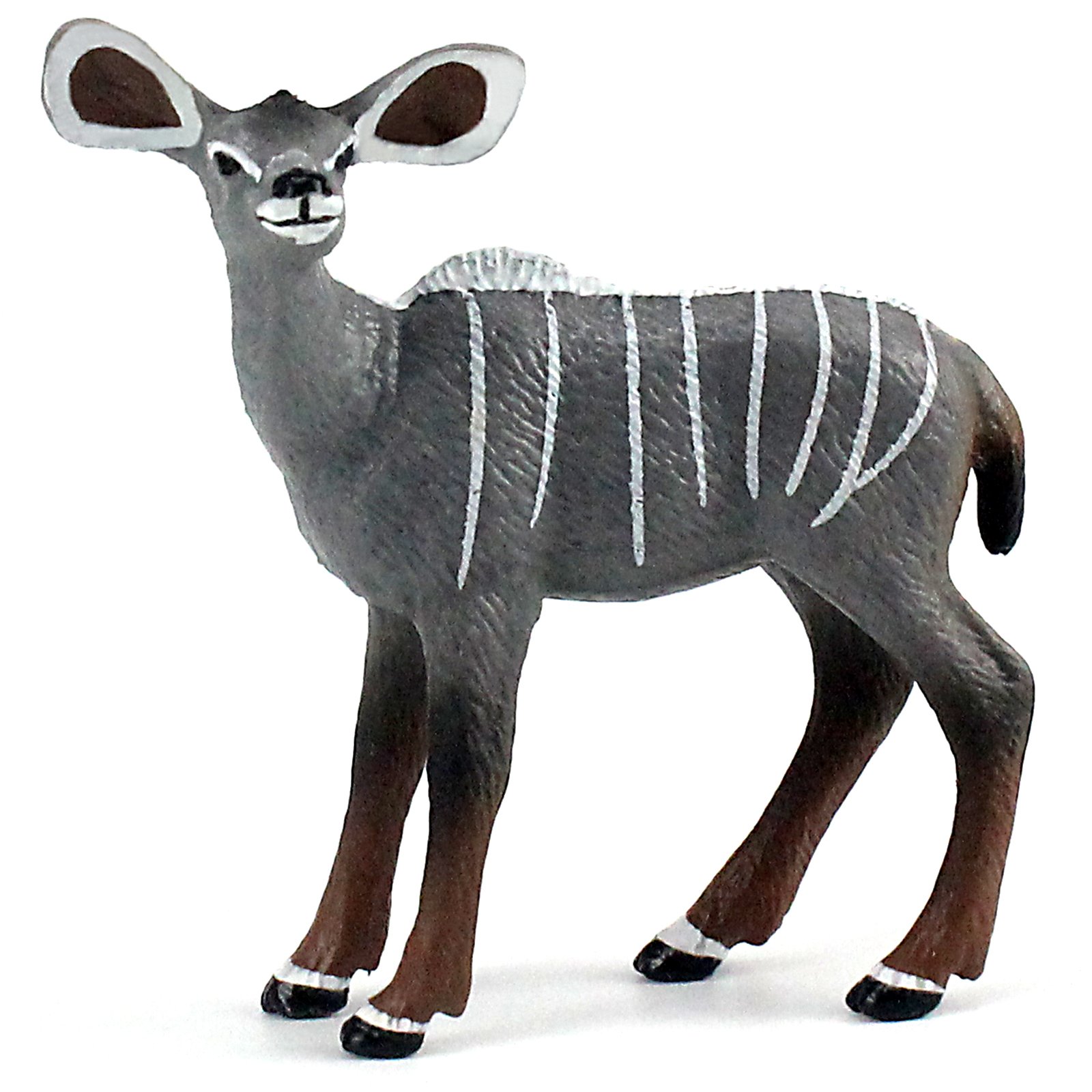 Lesser Kudu Baby