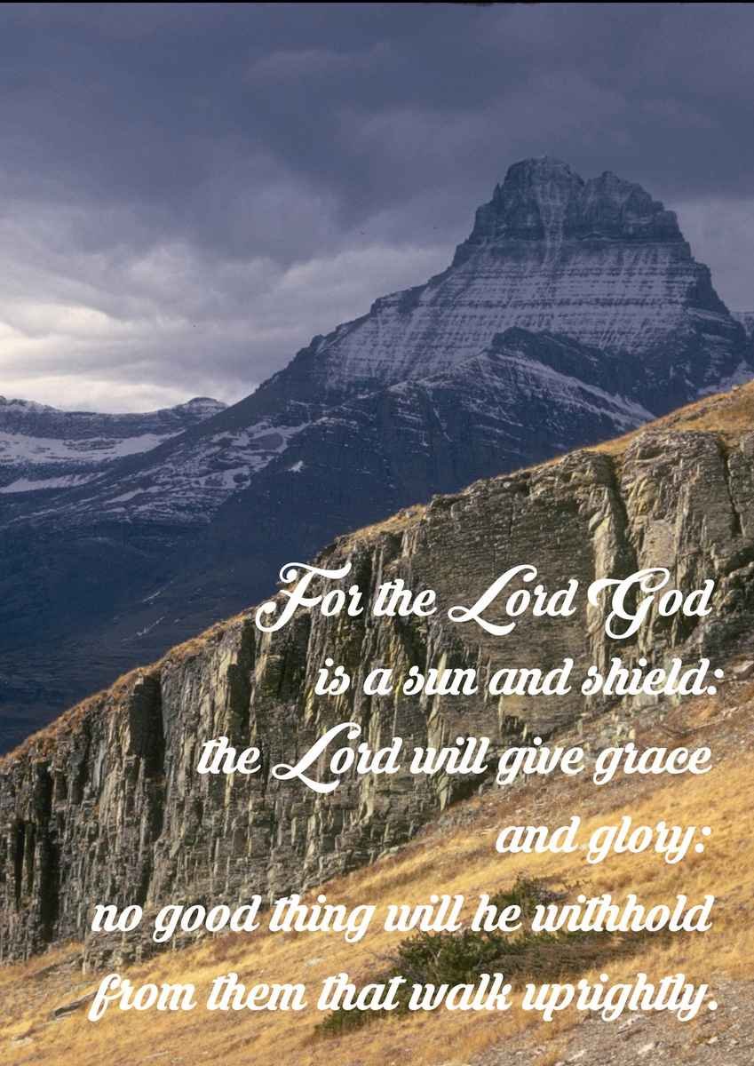 Absalom Bible Quotes 2 Samuel 13:29 | And The Servants Of Absalom Did