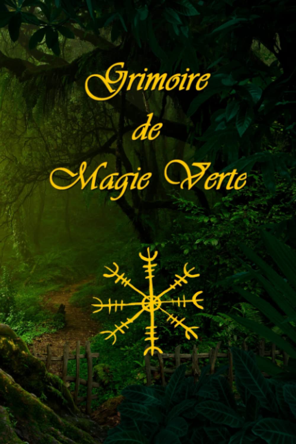 Amazon.fr - Grimoire de Magie Verte: 120 pages vierges à remplir ...