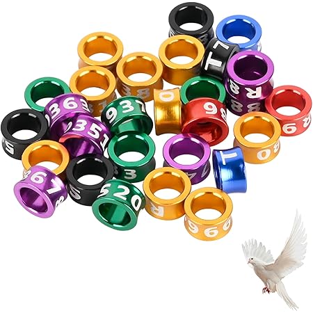 Amazon.com : STPCTOU Open Bird Ring Bird Leg Bands Rings Open Bird Leg ...