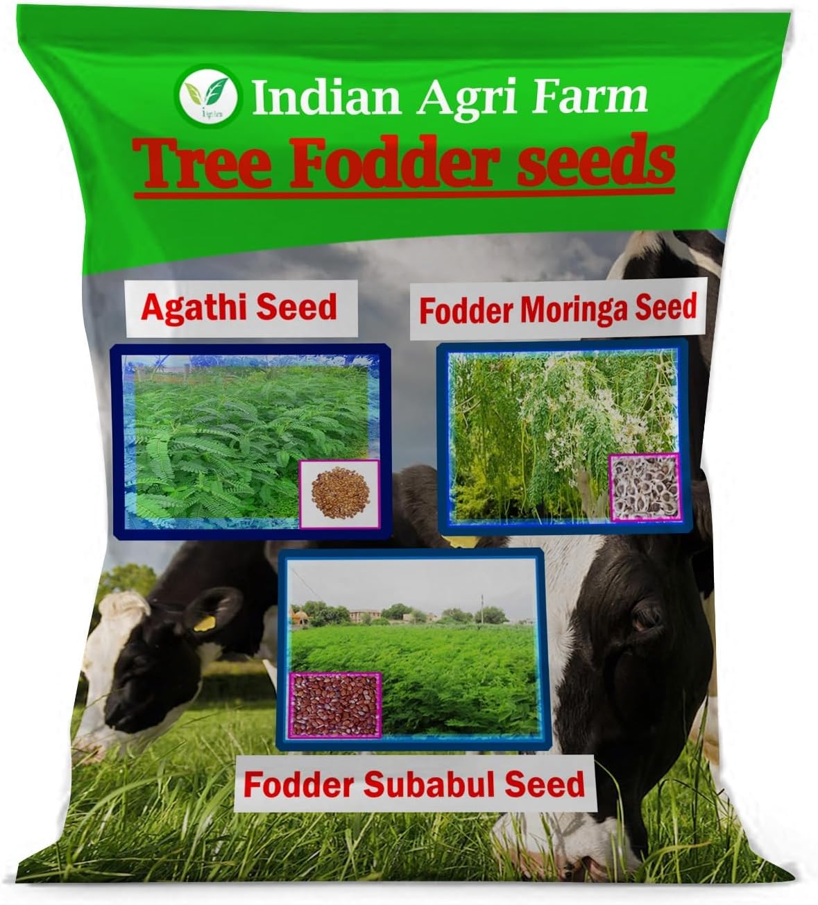 Iagrifarm Tree Fodder Seeds – Pack of 1 / Sesbania Seed – 500 Seed ...