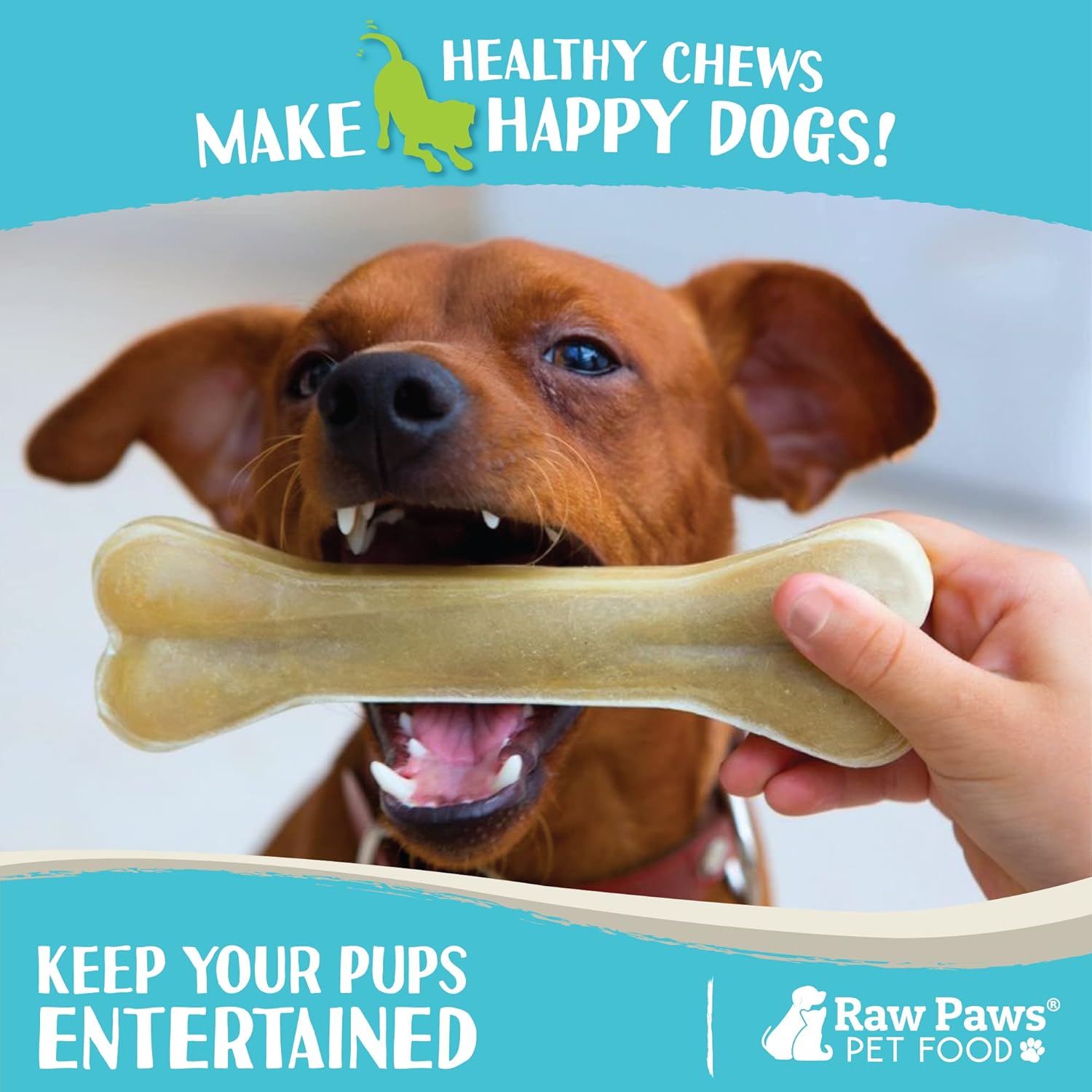 Raw Paws Pet Premium – Huesos de cuero crudo comprimido de 8 pulgadas ...