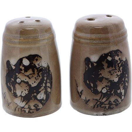 Amazon.com: Decorative Gray Wolf Glass Salt and Pepper Shaker Set with ...